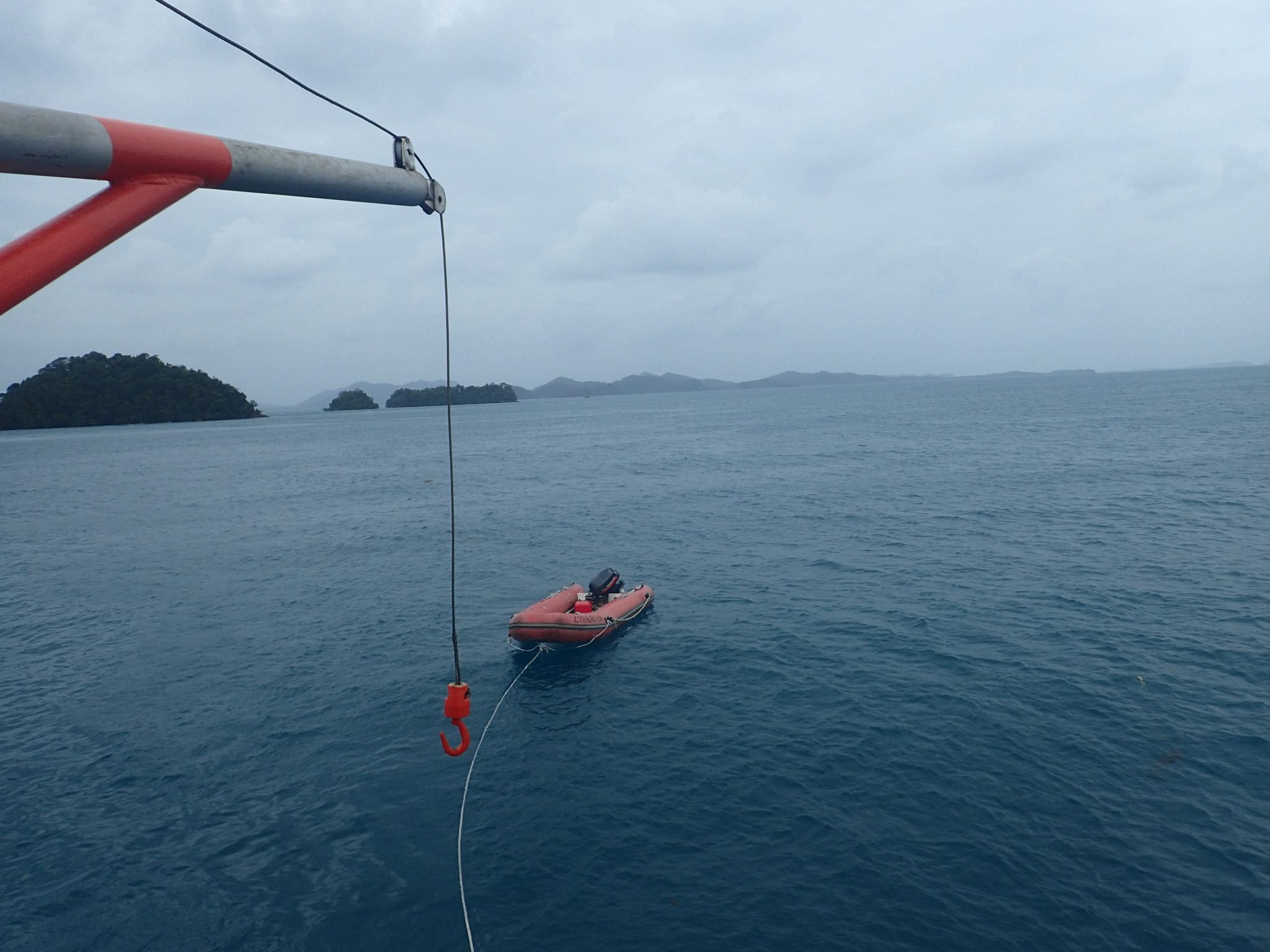 How MV Nautica spent her Chinese New Year! - Liveaboard Nautica Diving ...